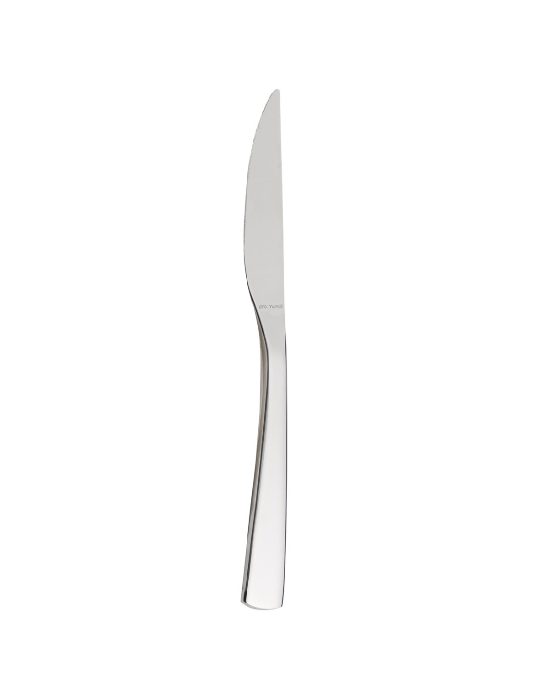Dessert Knife Monobloc Serrated 19.5 cm Izia Pro.Mundi | Pilsa