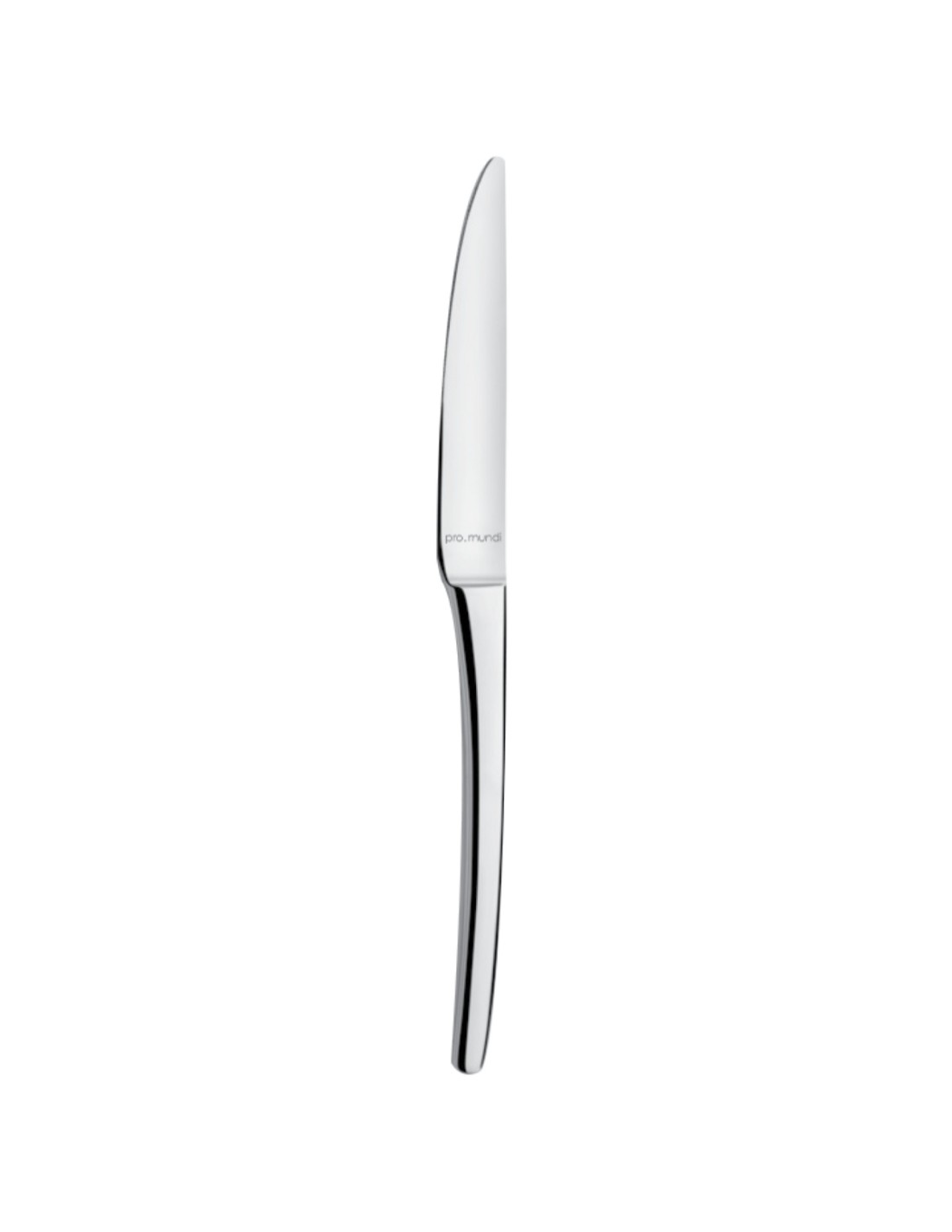Serrated Monobloc Table Knife 22.6 cm Elios Pro.Mundi | Pilsa